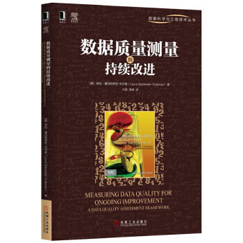 数据质量测量的持续改进
