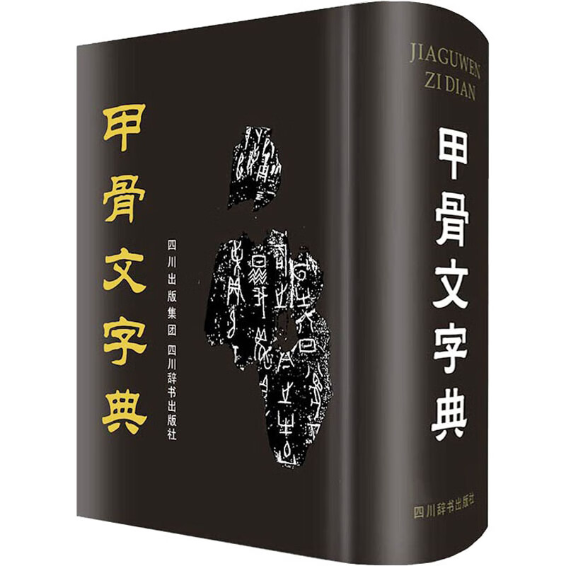甲骨文字典 图书