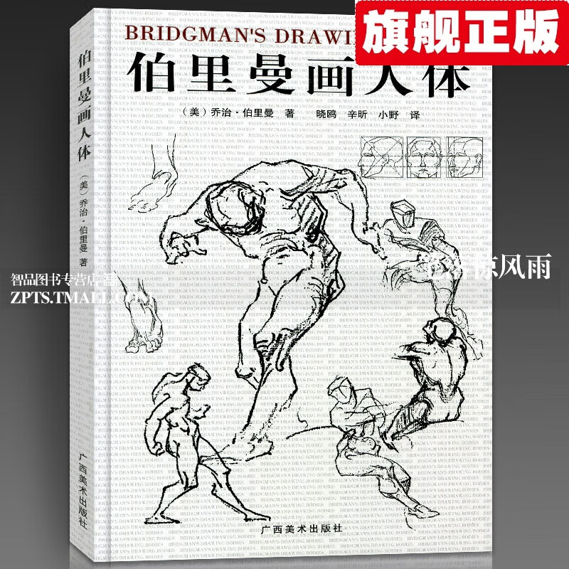 【官方旗舰店】伯里曼画人体 速写基础线描绘画素描大师速写临摹基础入门技法教程艺用造型解剖轮廓五官躯干高