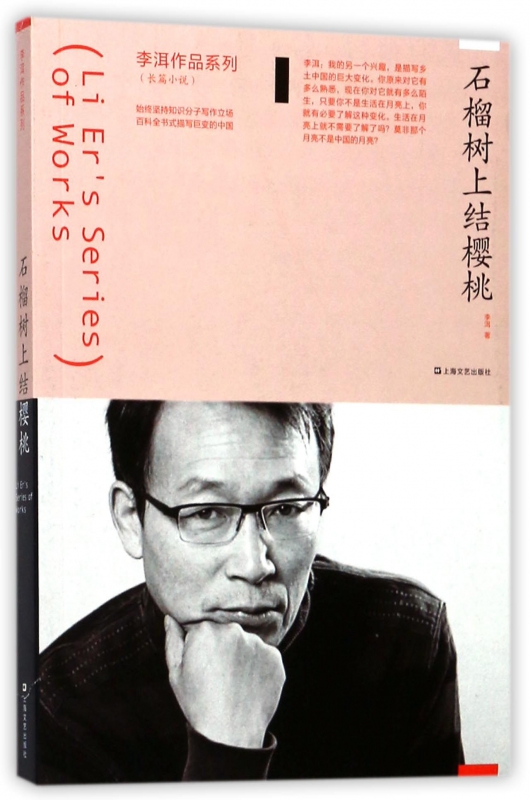 石榴树上结樱桃/李洱作品系列