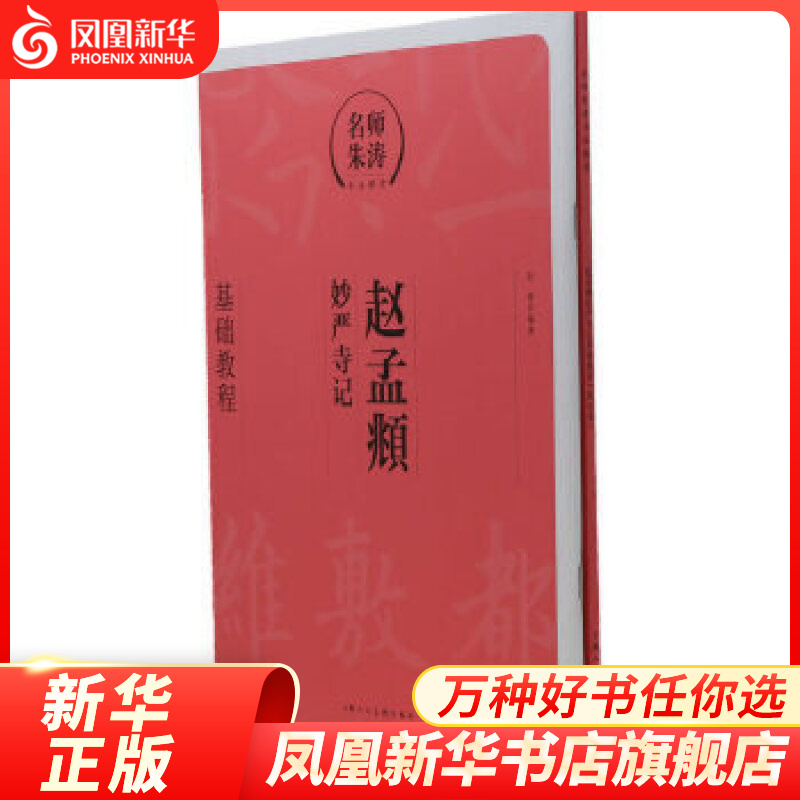 赵孟頫妙严寺记基础教程 名师朱涛书法课堂 朱涛编著 上海人民美术出版社 楷书书法毛笔字帖 楷书入门教材技法 临摹描红 书籍