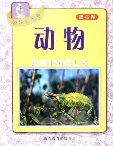 动物 布赖恩