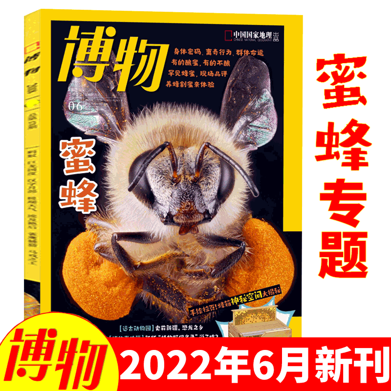 博物杂志 2022年6月 蜜蜂