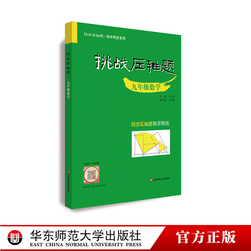 挑战压轴题7-8-9年级数学同步压轴题精讲精练初中同步练习讲解【6月30日发完】 九年级通用