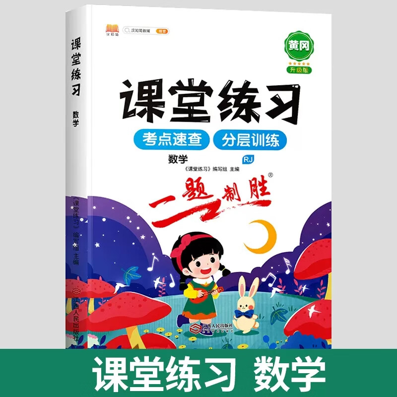 2023新版课堂练习二年级下册同步训练三3四五六年级上册同步练习册小学生1-6上教材同步一课一练天天练作业本 【课堂练习】数学 六年级下