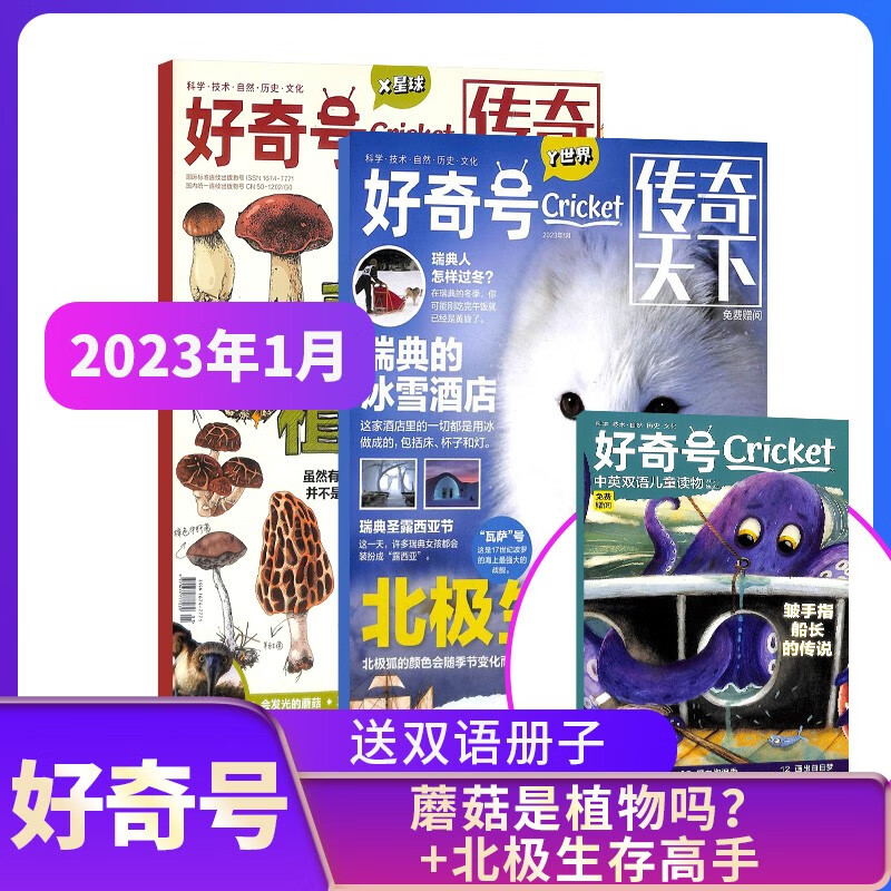 每月3册【单期订阅】现货包邮 好奇号杂志 2022/2023年1/2/3/4/5/6/7/8/9/10/11月期数自选 Cricket Media版权合作 杂志铺 每月3册 2023年1月 北极生