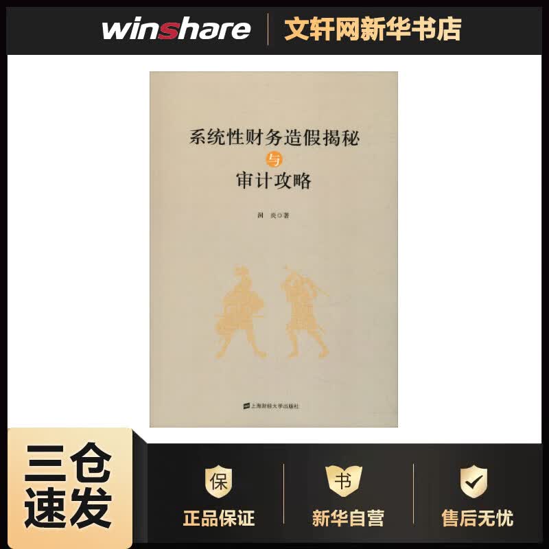 系统性财务造假揭秘与审计攻略 洞炎 书籍