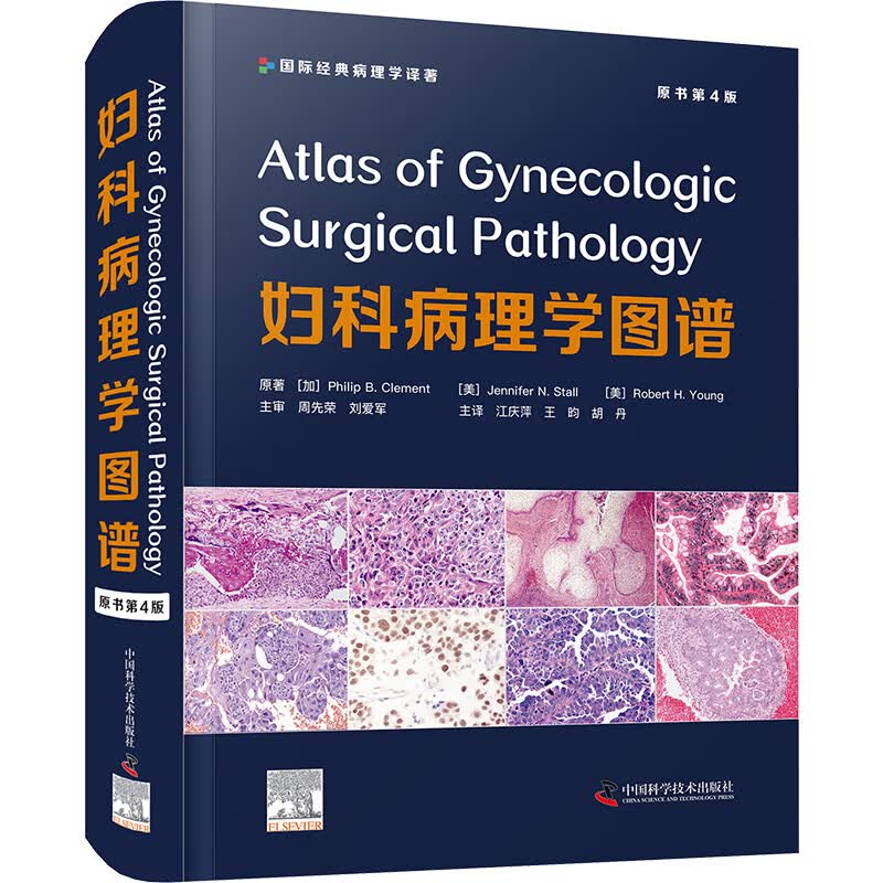 妇科病理学图谱 原书第4版 图书
