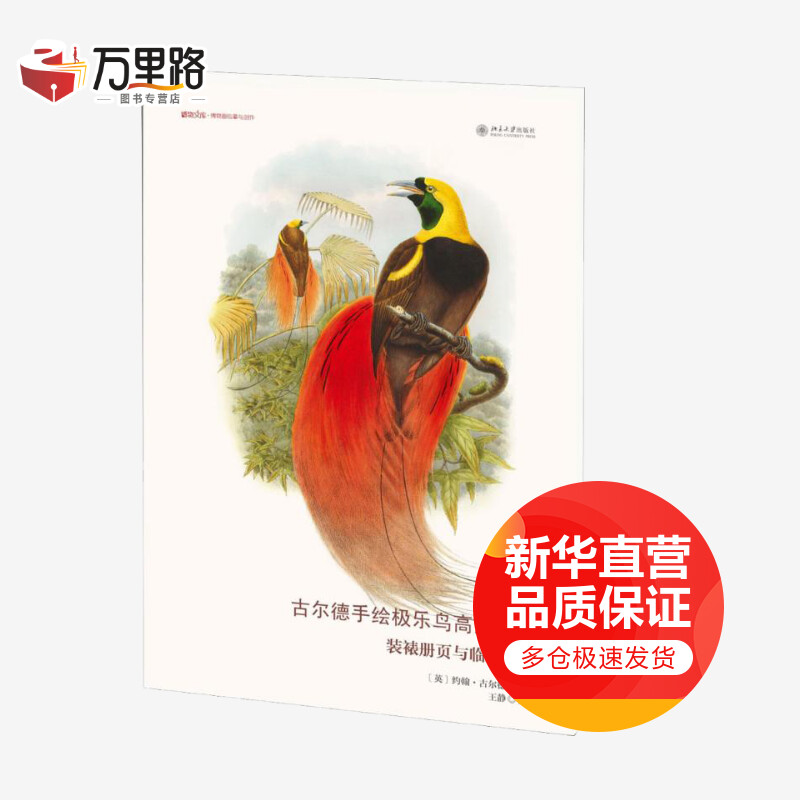 古尔德手绘极乐鸟高清大图