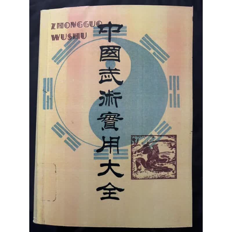 中国武术实用大全 经典功法武学武功大全书 武术修炼功夫武艺书籍