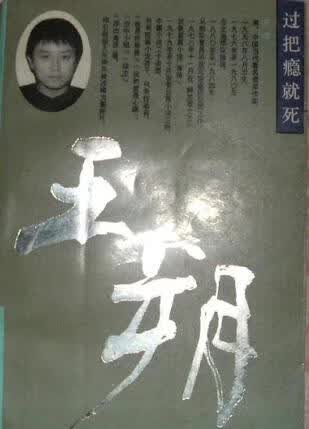 过把瘾就死 王朔