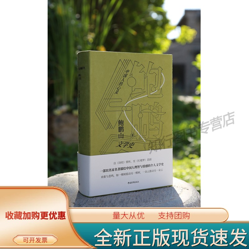 鲍鹏山文学史中国人的心灵鲍鹏山典藏作品集精装收藏中国青年出版社中国文学史