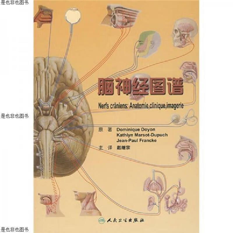 脑神经图谱