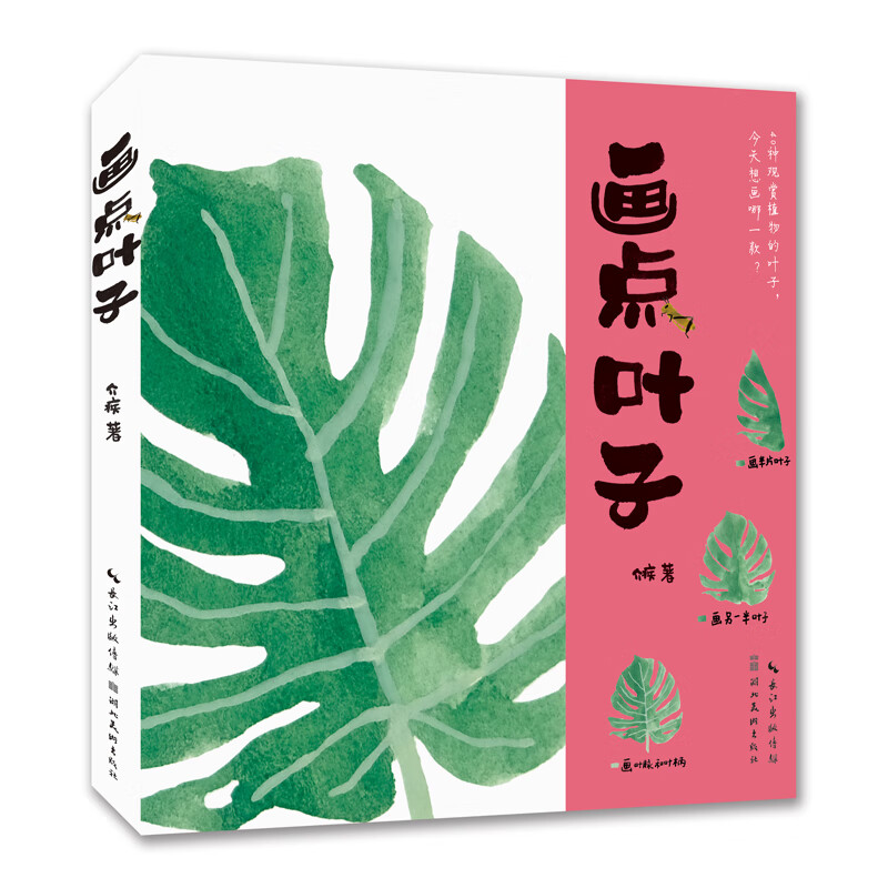 画点叶子