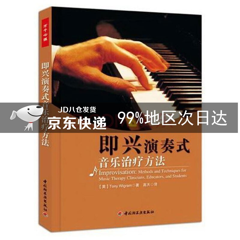 即兴演奏式音乐治疗方法（附光盘）