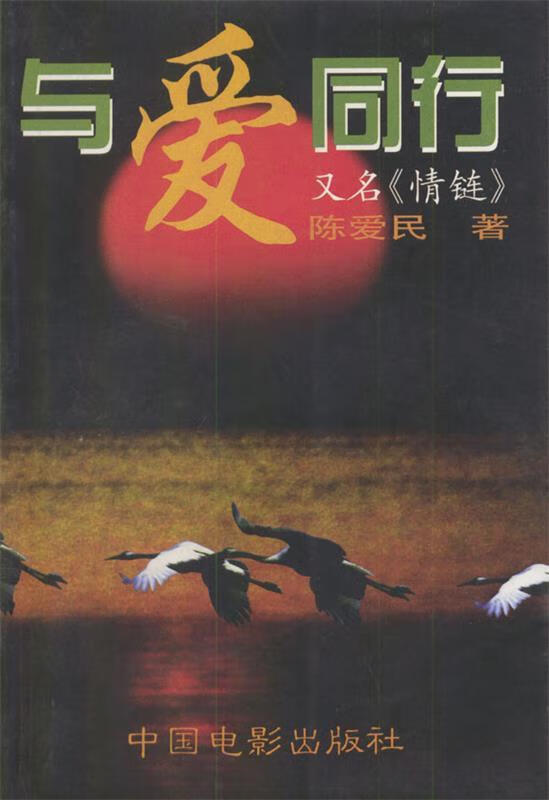 与爱同行：又名《情链》【好书，下单速发】