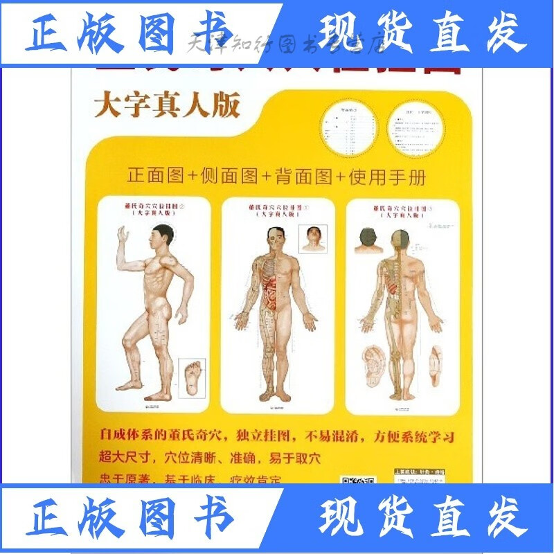 全新速发董氏奇穴穴位挂图(附使用手册大字真人版共3张)Z