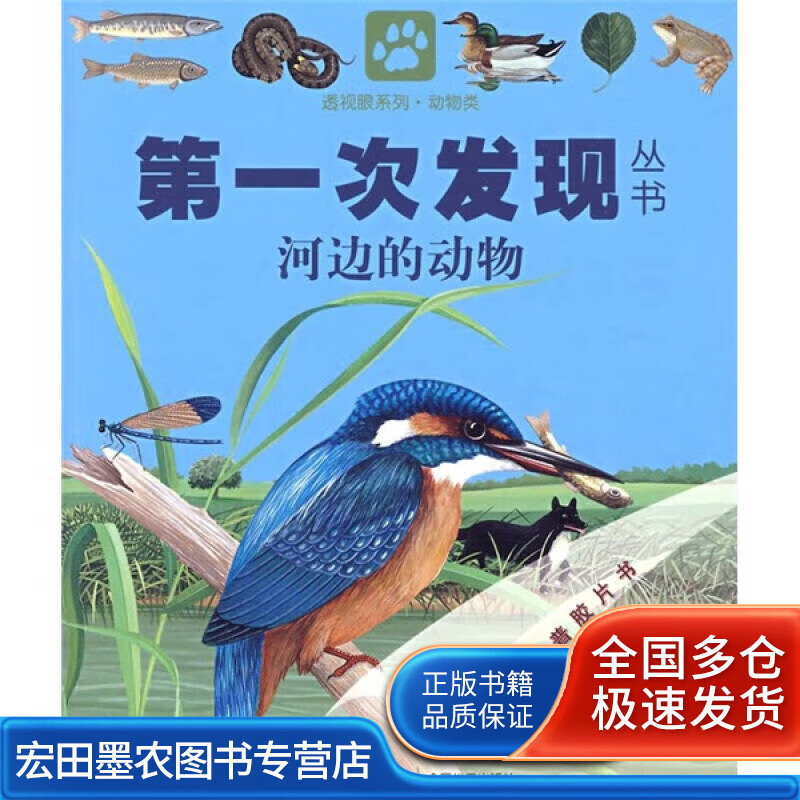 动物类9787544808071【好书】