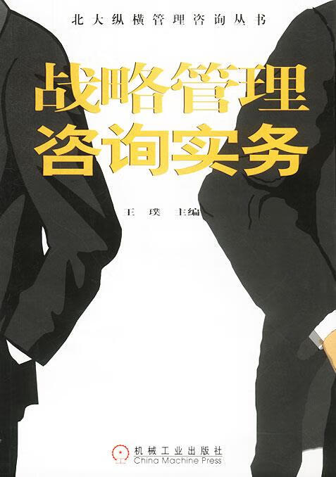 战略管理咨询实务 王璞等 著