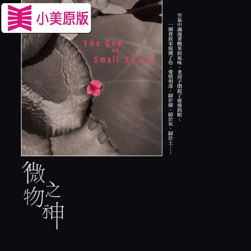 现货 阿兰达蒂洛伊微物之神天下文化台版原版书籍