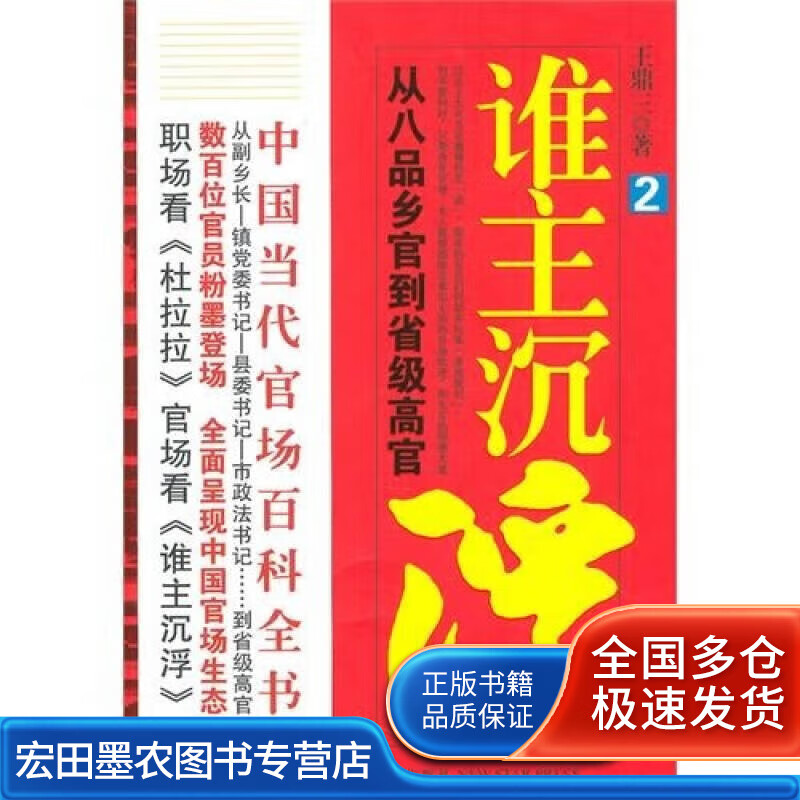 谁主沉浮2 王鼎三【好书】