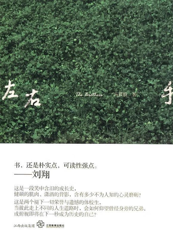 左右手 冯霖毅著