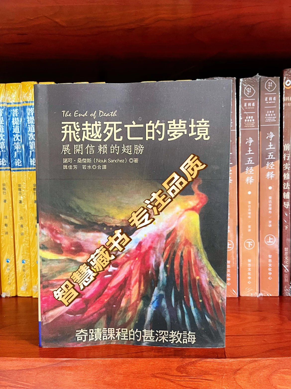 《飞越死亡的梦境》展开信赖的翅膀 诺可桑杰斯!
