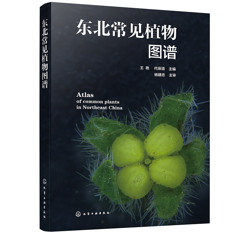 东北常见植物图谱 见植物图谱