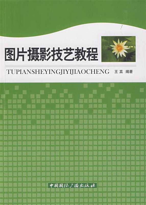 图片摄影技艺教程 王真【书】