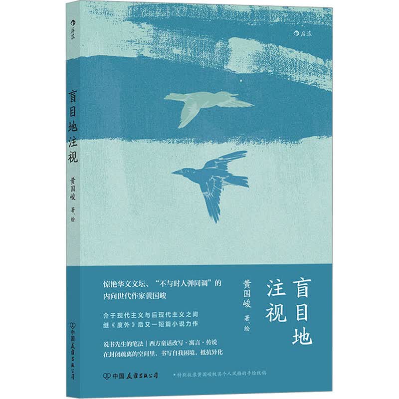 盲目地注视 黄国峻  书籍 图书