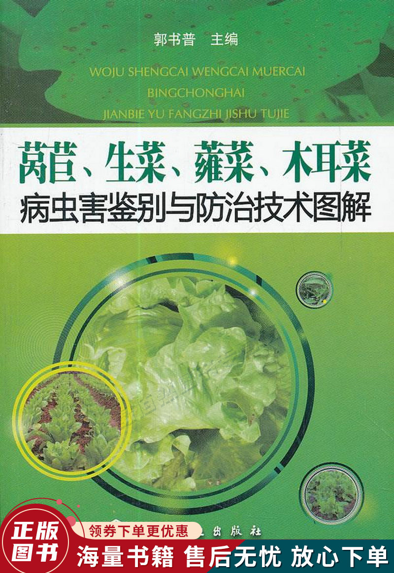 莴苣、生菜、蕹菜、木耳菜病虫害鉴别与防治技术图解