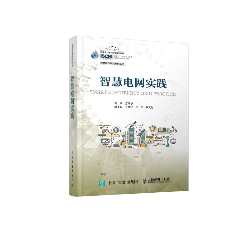 智慧电网实践/智慧城市实践系列丛书
