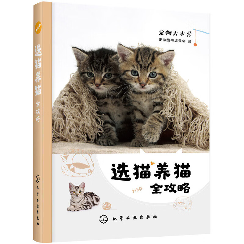 选猫养猫全攻略