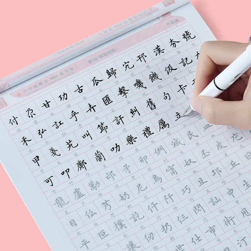 繁体字练字帖卢中南硬笔书法钢笔楷书临摹字帖繁简对