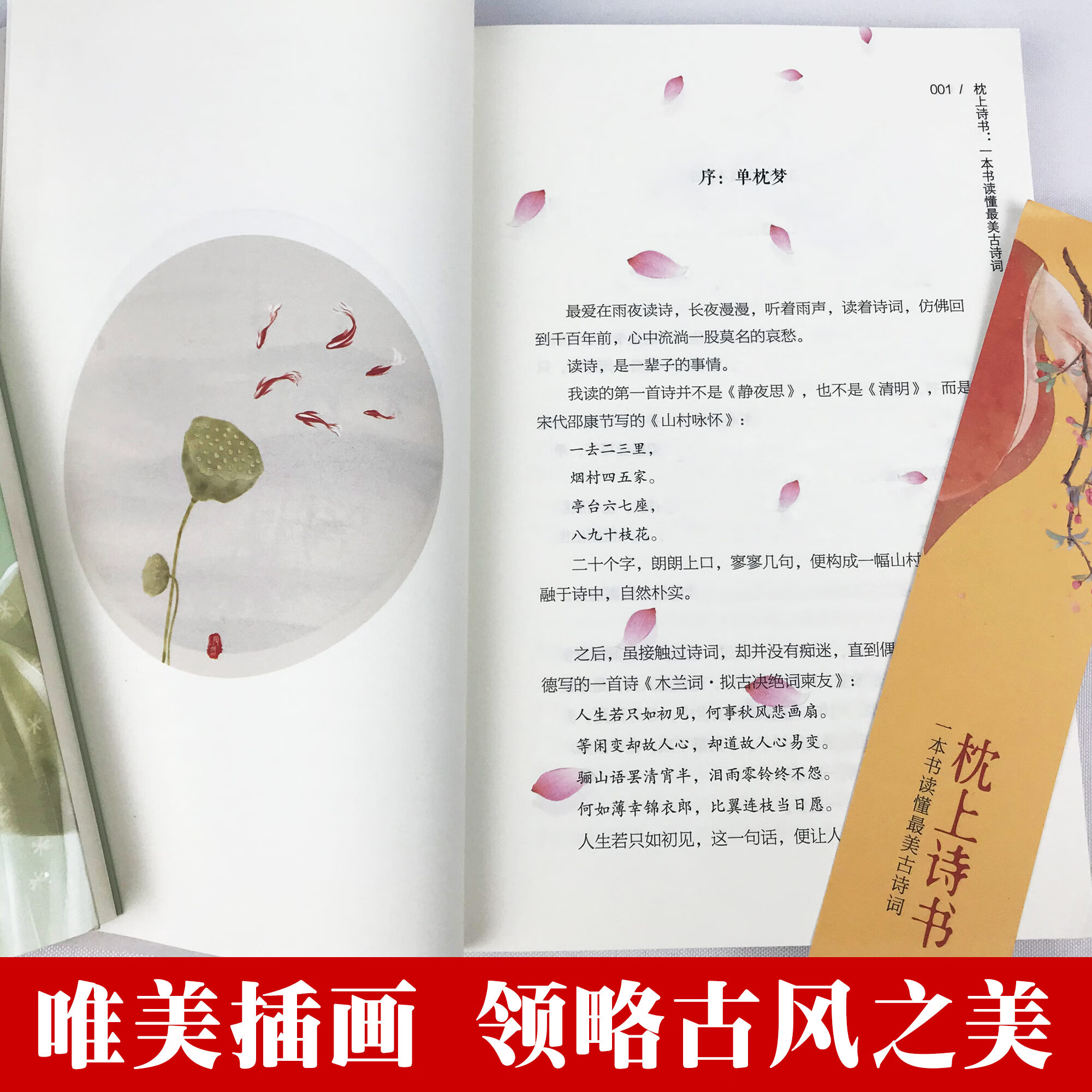 珍藏版中国诗词大会诗经枕上诗书一本书读懂美古诗词半世烟雨半世落花古典诗词精选37篇一诗一故事诗词歌