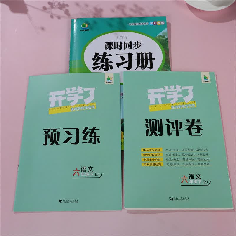 小学课时同步练习册1-2-3-4-5-6年级上下册语文数学英语同步训练 六年级下册 语文-人教版