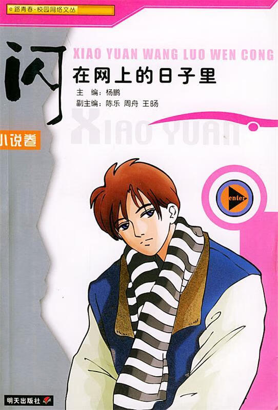 闪在网上的日子里 杨鹏 9787533243142