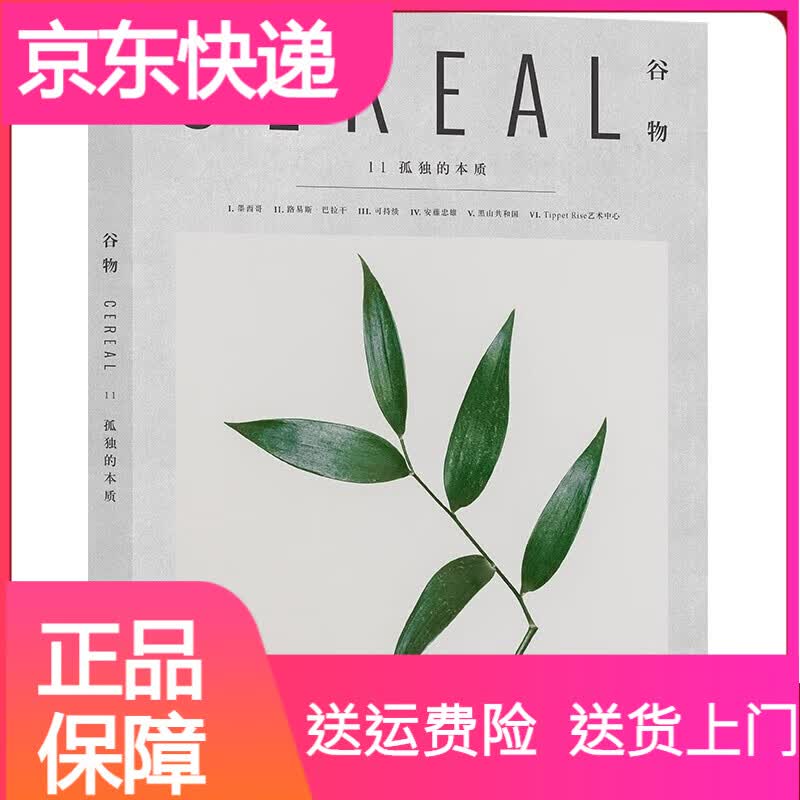 中信出版谷物11：孤独的本质 谷物11新版