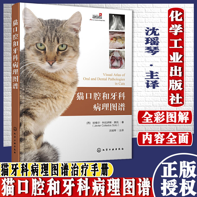 猫口腔和牙科病理图谱 猫牙科病理图谱治疗手册 犬猫组织学牙齿结构 犬猫齿系图谱 小动物牙周探查图例