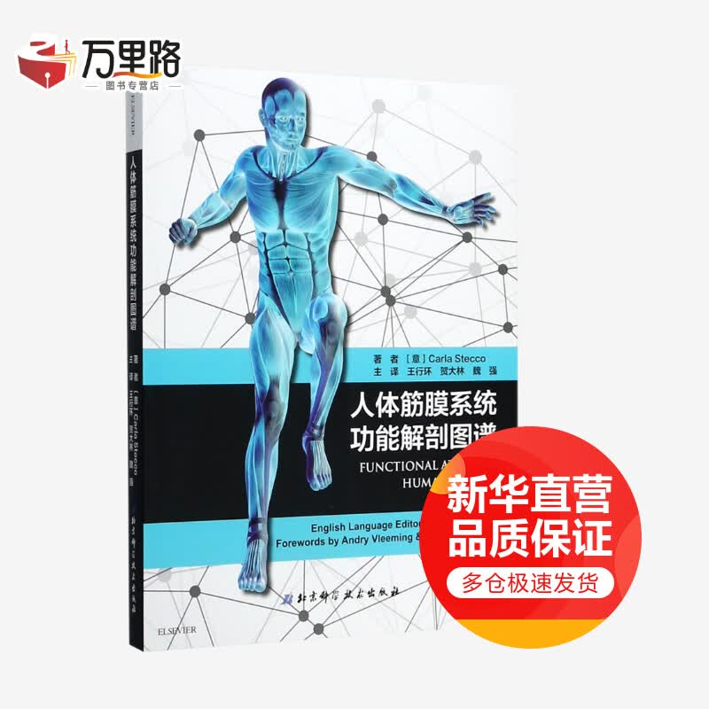 人体筋膜系统功能解剖图谱