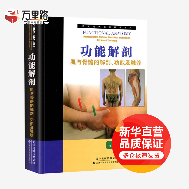 功能解剖:肌与骨骼的解剖,功能及触诊