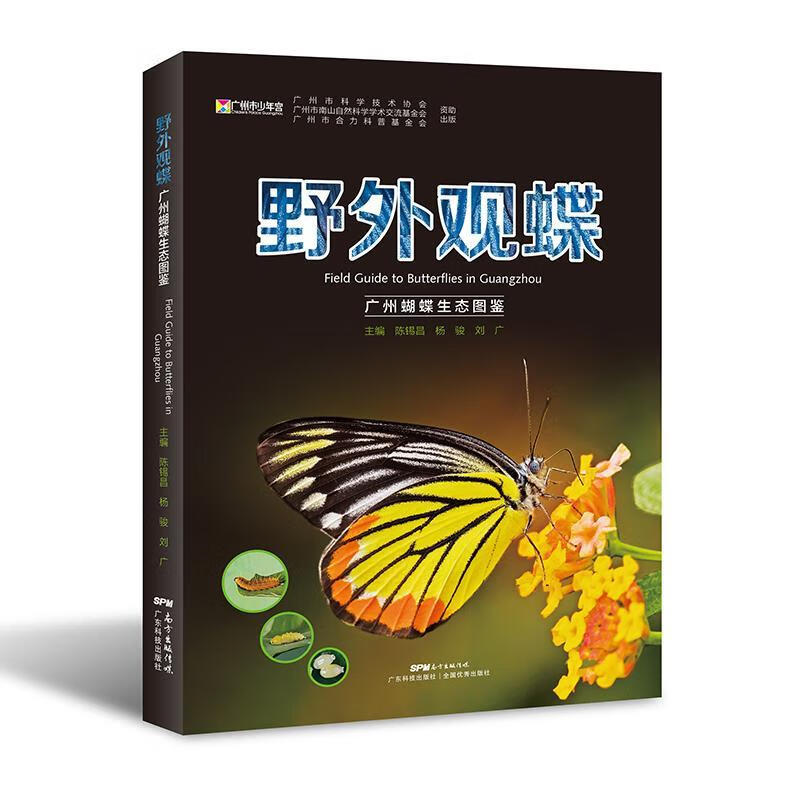 野外观蝶 广州蝴蝶生态图鉴【好书，下单速发】