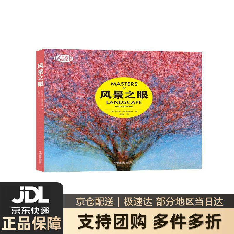 【 送货上门】风景之眼 [英]罗斯·霍迪诺特 中国摄影出版社