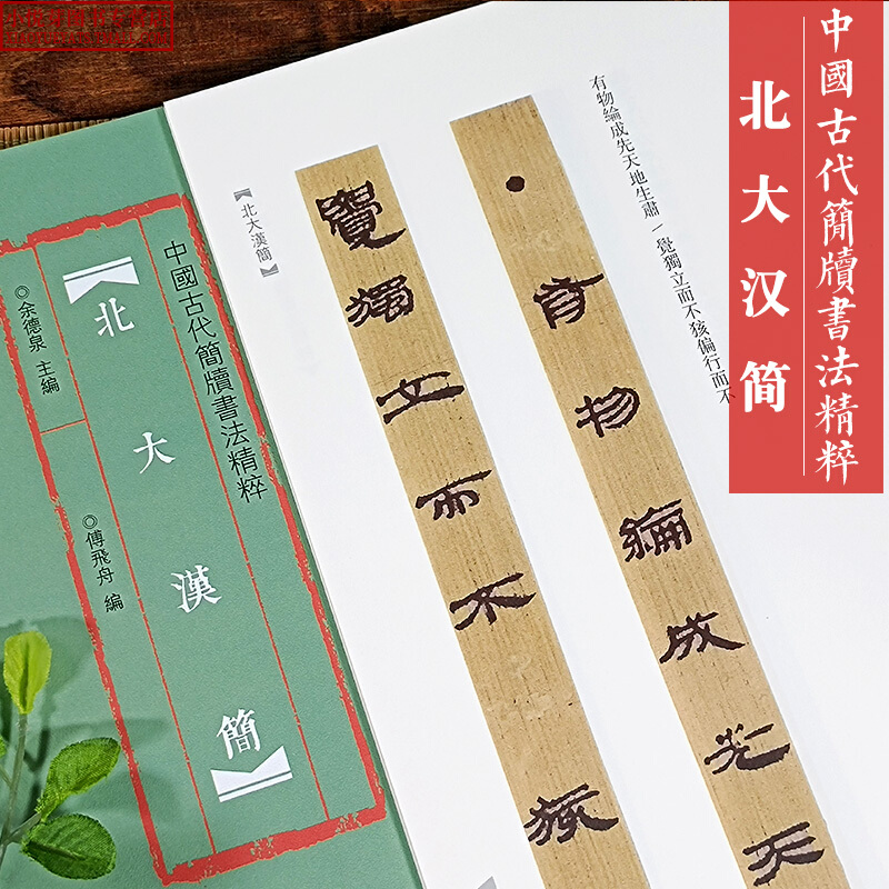 中国古代简牍书法精粹 北大汉简 毛笔书法字帖 临摹赏析 汉简字帖 毛笔古代简牍书法 简牍书法研究 河南美术出版社