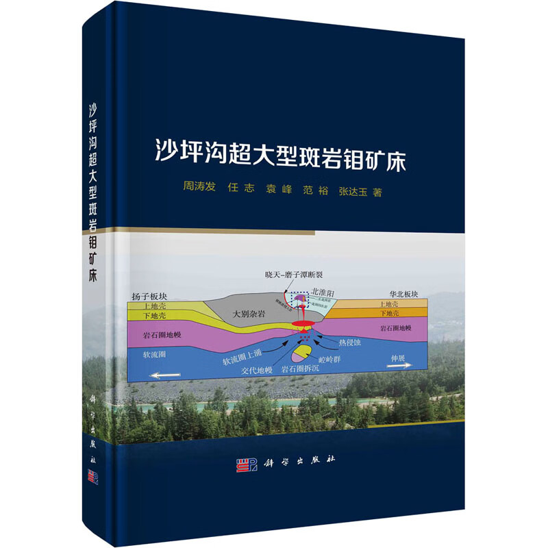 沙坪沟超大型斑岩钼矿床 图书