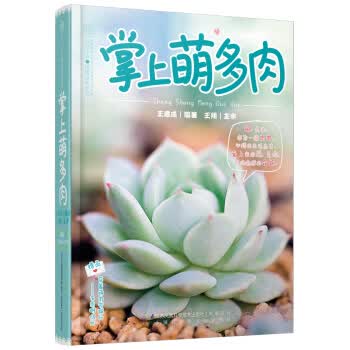 掌上萌多肉