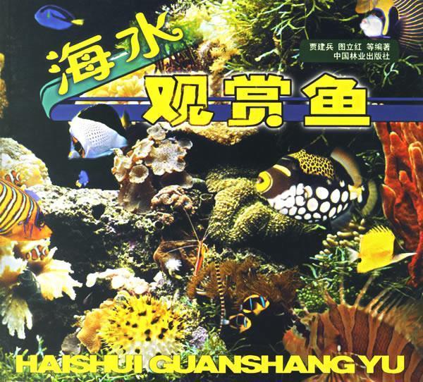 海水观赏鱼