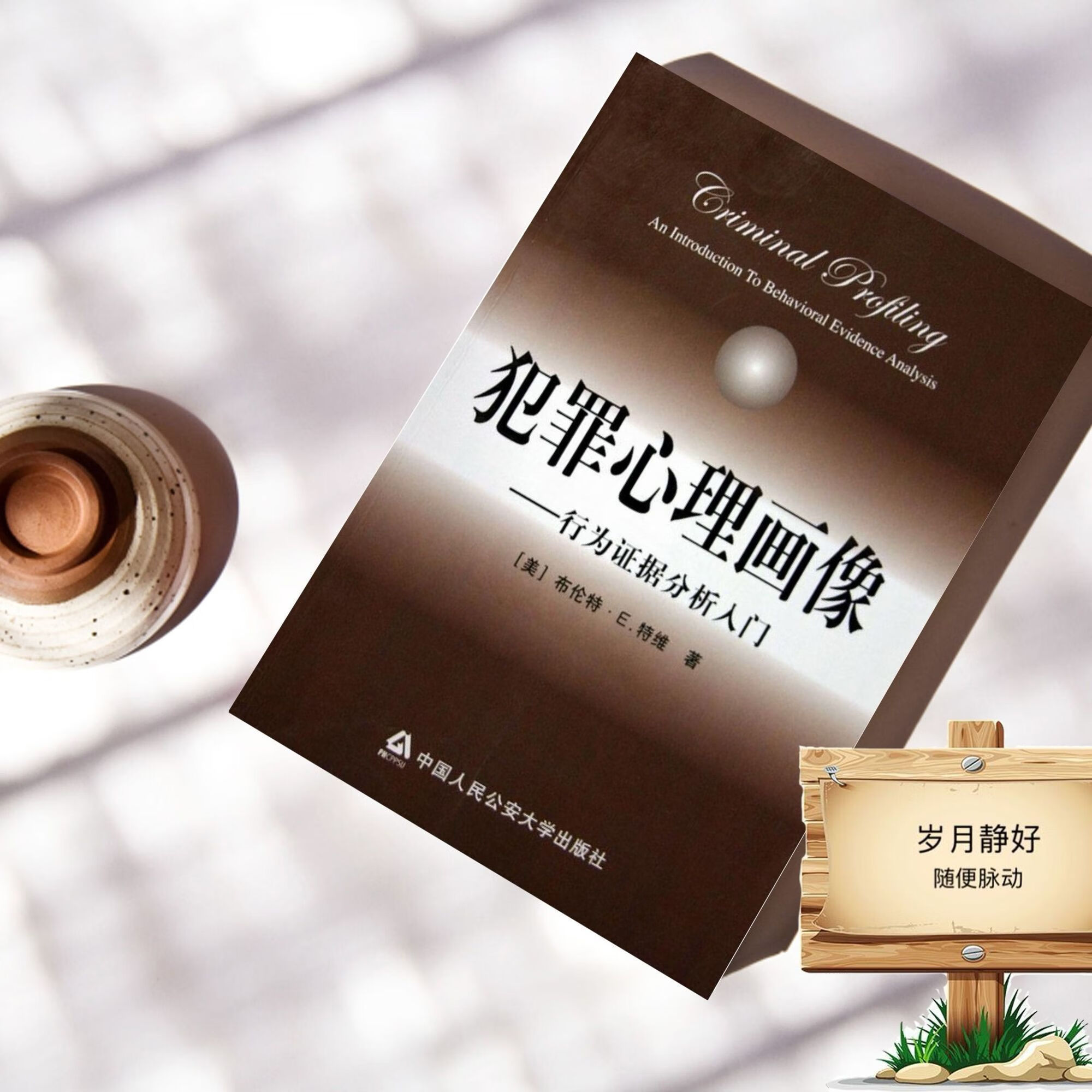 犯罪画像 行为证据分析入门 特维 著 李玫瑾 等译
