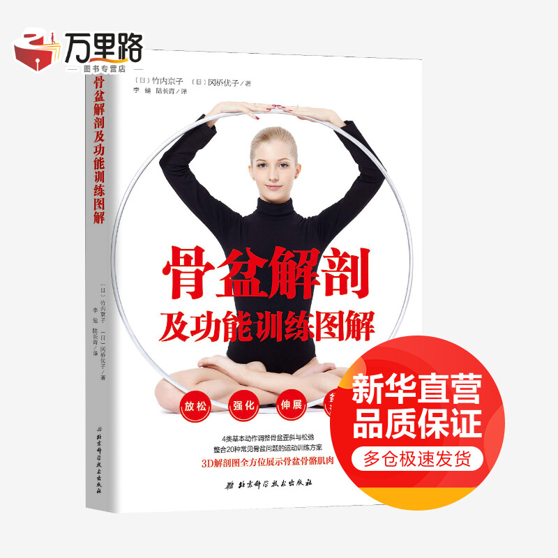 骨盆解剖及功能训练图解