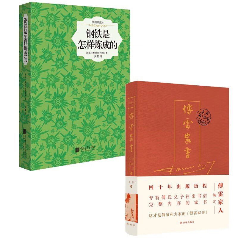 钢铁是怎样炼成的+傅雷家书（套装2册）初二八年级下册必读课外名著阅读书目